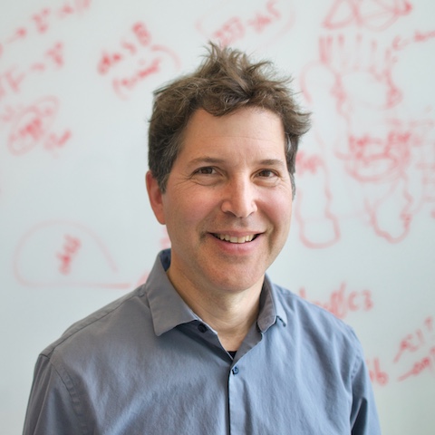 Experimental Design: AI for Science